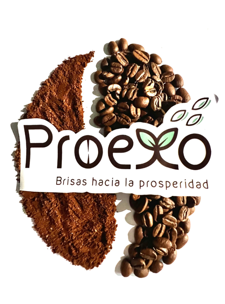 Proyectos Económicos – PROEXO