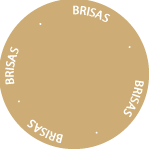 Brisas – PROEXO