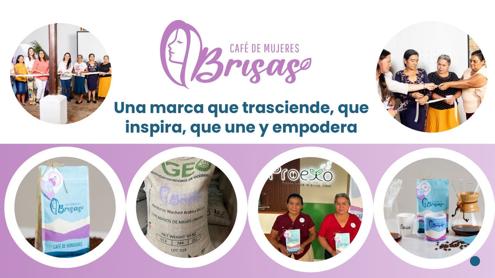 Brisas – PROEXO